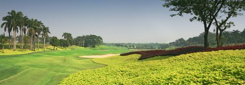 Golf di BSD: Dua Pilihan Menarik untuk Pecinta Golf